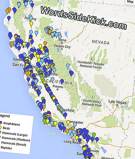 El Nuevo Mapa De Roadkill Encuentra El "Anillo De La Muerte" De ...