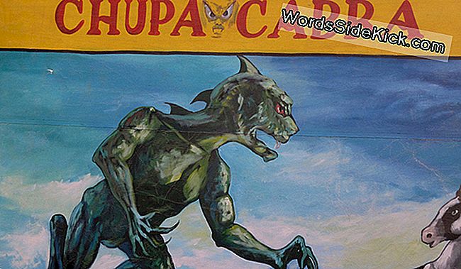 Chupacabra: Fakten Über Die Geheimnisvolle Vampir Bestie - 2026 | Kultur