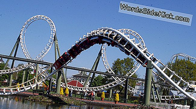 Roller Coasters Nasıl Çalışır? - 2026 | Tech