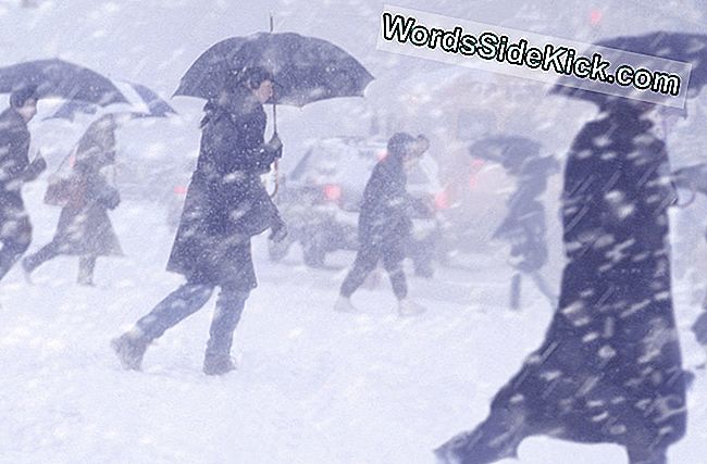 10 Tormentas De Nieve Más Grandes De Todos Los Tiempos - 2025 | Planeta ... 10 Tormentas De Nieve Más Grandes De Todos Los Tiempos - 2025 | Planeta ...