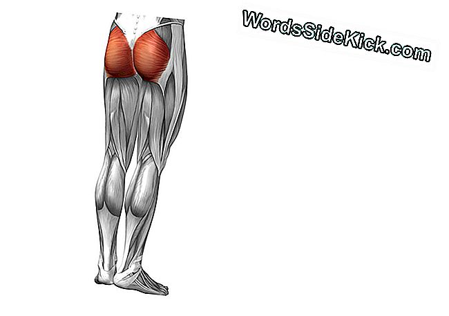 Meet Your Muscles: 6 Opmerkelijke Menselijke Spieren - 2025 | Gezondheid Meet Your Muscles: 6 Opmerkelijke Menselijke Spieren - 2025 | Gezondheid