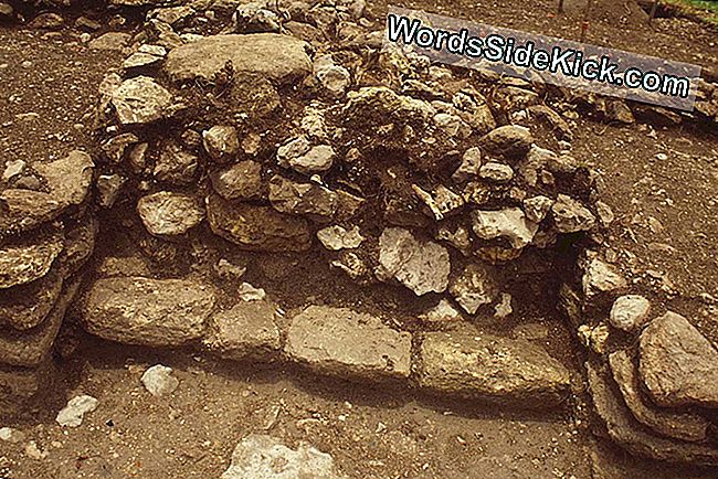 Antiguos Altares Mayas, Obra Esculpida Descubierta En Guatemala - 2026 ...