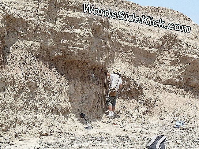 Fotos: El Ancestro Humano Misterioso Maneja Las Herramientas De Piedra ... Fotos: El Ancestro Humano Misterioso Maneja Las Herramientas De Piedra ...