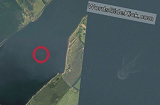 Loch Ness Monster Auf Apple Maps Warum Satellitenbilder Uns T uschen 2023 Seltsame Nachrichten loch-ness-monster-auf-apple-maps-warum-satellitenbilder-uns-t-uschen-2023-seltsame-nachrichten
