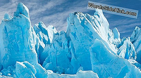 Was Ist Der Größte Gletscher Der Welt? - 2026 | Planet Erde