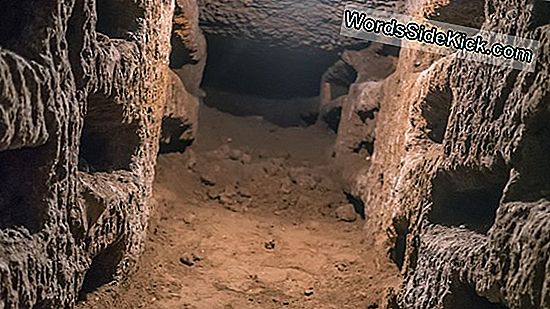 El Ataúd Raro De La Era Romana Presenta Talla Del Hombre De Pelo Rizado ...