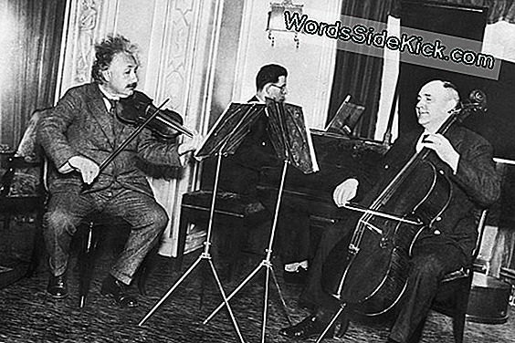 Einstein Enamorado: Las Letras Iluminan El Lado Oscuro Del Genio - 2025 ... Einstein Enamorado: Las Letras Iluminan El Lado Oscuro Del Genio - 2025 ...