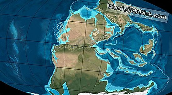 Pangea, Ancient Supercontinent Hakkında Gerçekler - 2026 | Dünya gezegeni
