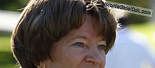 La Mort De Sally Ride: Pourquoi Le Cancer Du Pancréas Est-Il Si Mortel ...