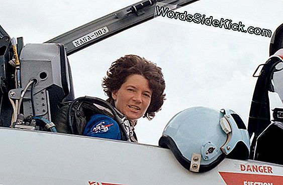 La Morte Di Sally Ride: Perché Il Cancro Al Pancreas È Così Mortale ...
