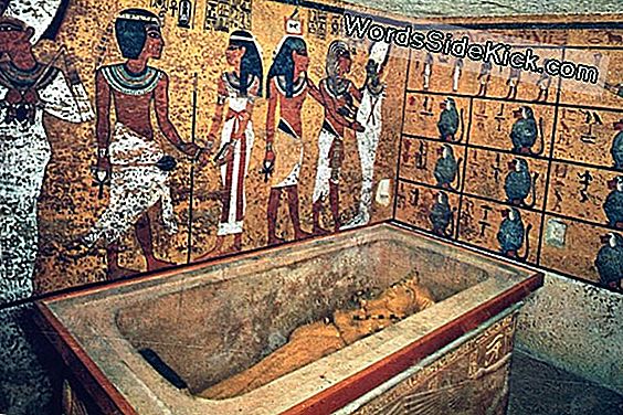 Akhenaton: Faraone Egiziano, Marito Di Nefertiti, Padre Di Tut - 2026 ...