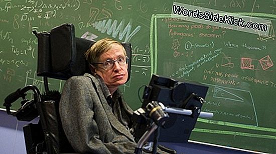 Stephen Hawking이 76 번째 생일에 중요한 이유 - 2025 | 역사