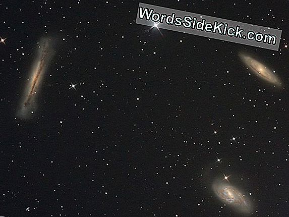 Asteroidai: Įdomūs Faktai Ir Informacija Apie Asteroidus - 2026 ...