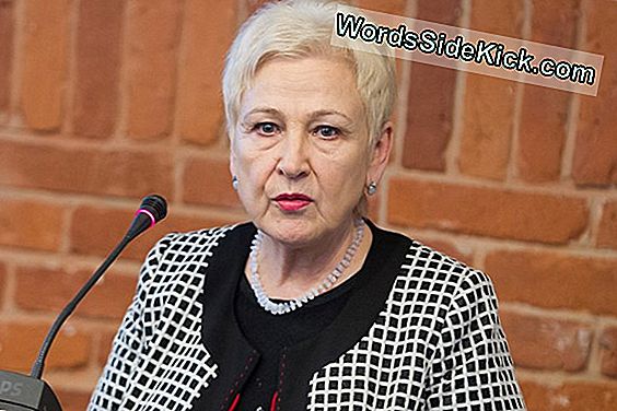 Ši „Dingusi“ Optinė Iliuzija Įrodo, Kad Jūsų Smegenys Yra Per Daug ...