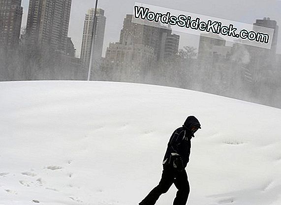 10 Grootste Sneeuwstormen Aller Tijden - 2025 | Planeet aarde 10 Grootste Sneeuwstormen Aller Tijden - 2025 | Planeet aarde