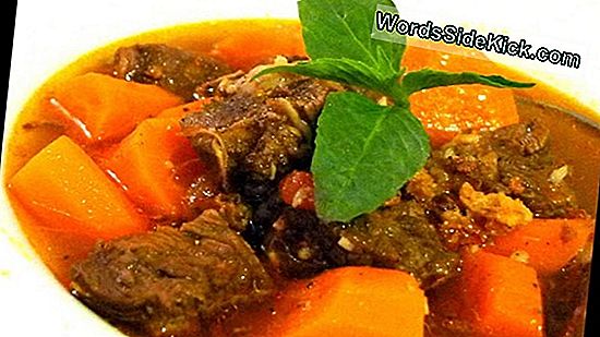 Stew ที่มองไม่เห็นของมลภาวะพลาสติกที่พบใน Fur Seal Poop - 2026 | สัตว์