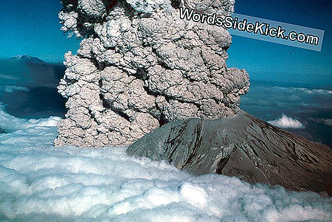 Nature'S Fury: Gripping Images Of Natural Disasters - 2024 | Planeet aarde Nature'S Fury: Gripping Images Of Natural Disasters - 2024 | Planeet aarde