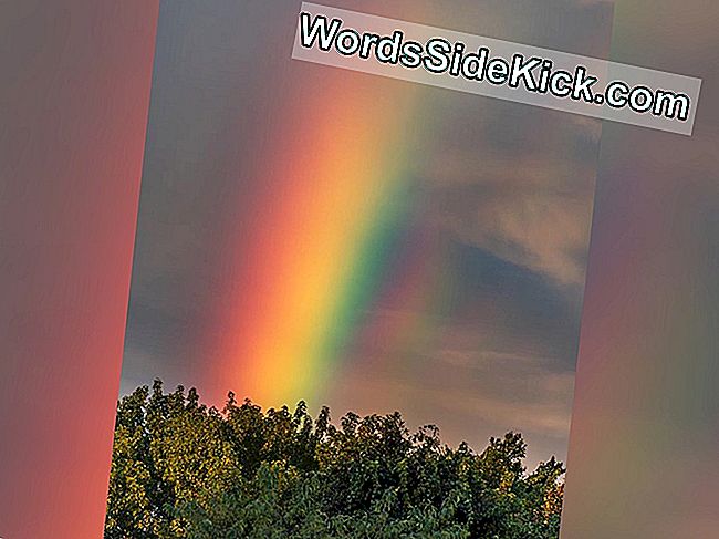 Rare Quintuple Rainbow Catturato Da Un Fotografo Nel New Jersey - 2026 ...
