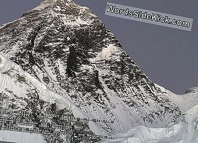 エベレスト山の頂上に設置された世界最高のウェブカメラ - 2026 | 地球