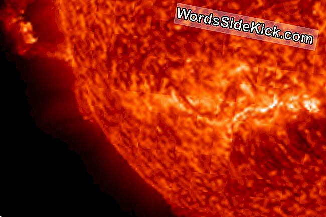 Riesige Sonneneruption Im Nasa-Video Festgehalten - 2026 | Planet Erde