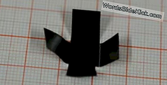 Miniroboti Za Samopreklapanje Mogući Su S Grafenom Na Nadahnuću Origami ...