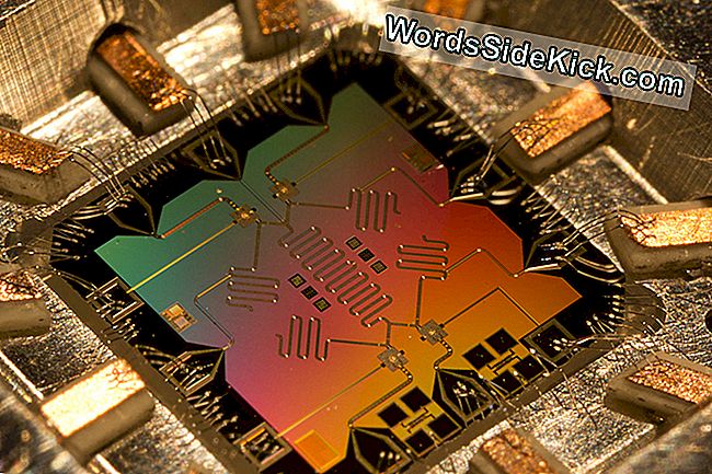 Googleとnasaが量子コンピューターを導入する理由 - 2024 | テック Googleとnasaが量子コンピューターを導入する理由 - 2024 | テック